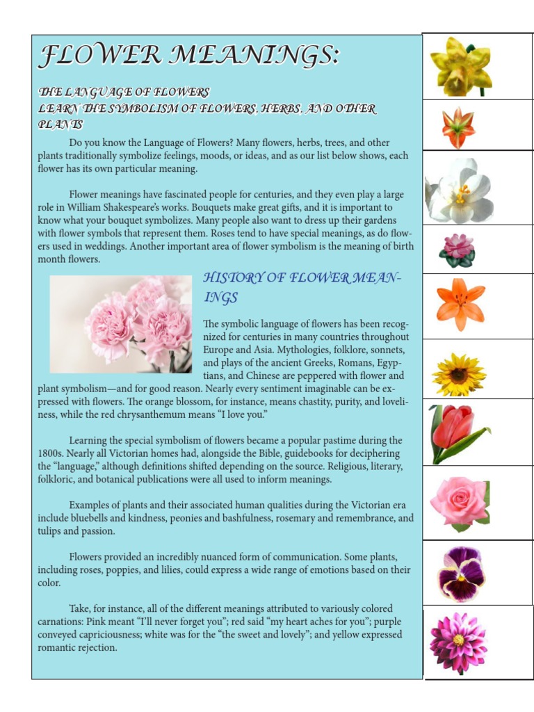 Flower Language | PDF | Flower Bouquet | Gardening