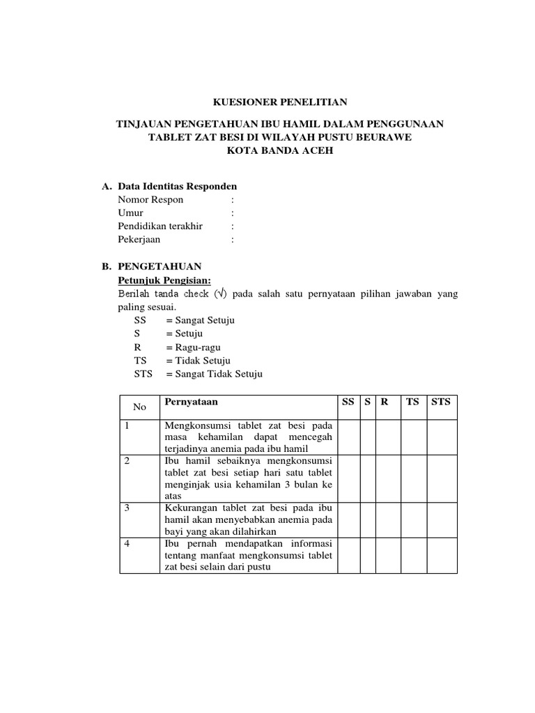 KUESIONER PENELITIAN Kti Novi | PDF
