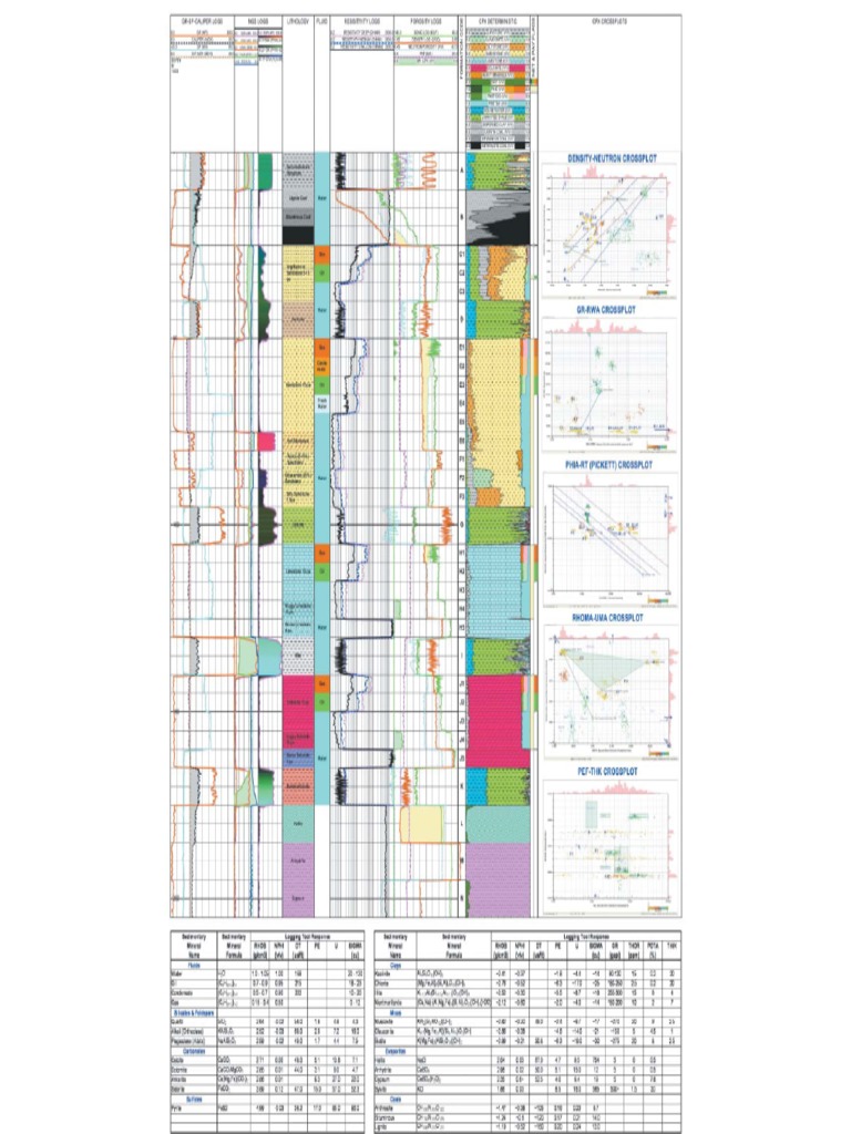 Libro-Basic Well Log Analysis | PDF
