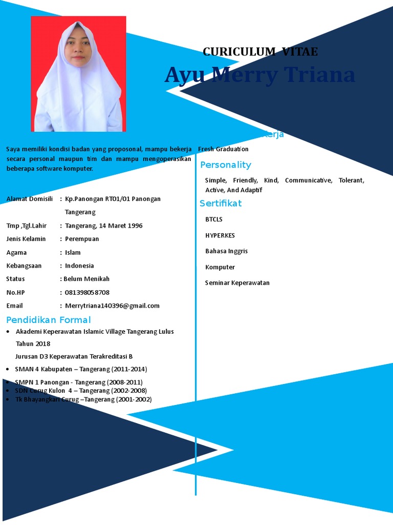 CV Ayu New | PDF