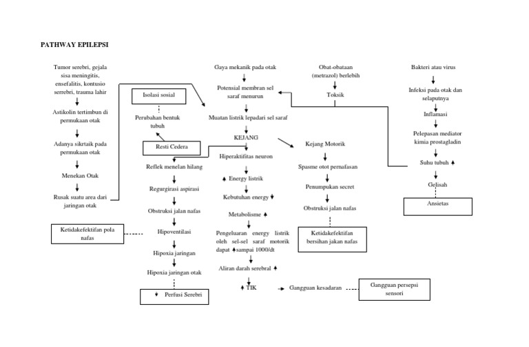 Pathway Epilepsi | PDF