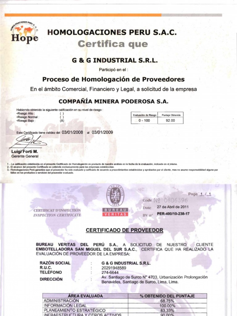 Certificado Homologacion | PDF | Economias | Business