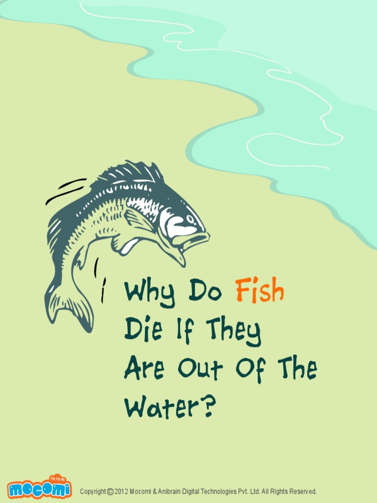 Mocomi TheZone WhyDoFishDieIfTheyAreOutOfTheWater 01 | PDF | Gill | Fish