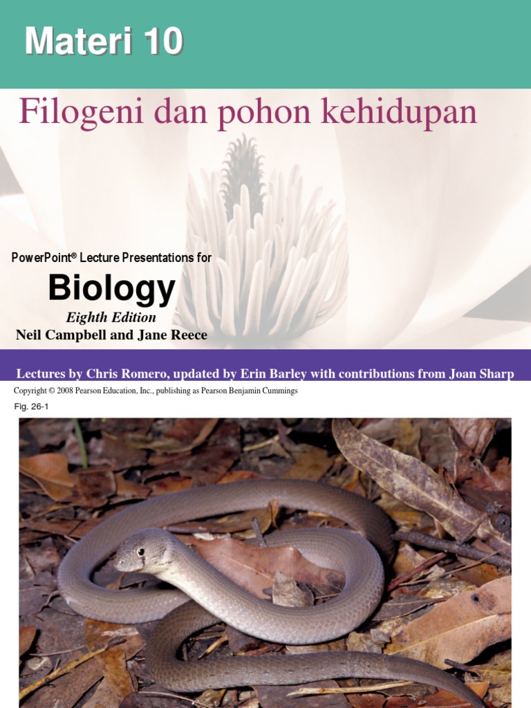 10-11. Filogeni Dan Pohon Kehidupan | PDF