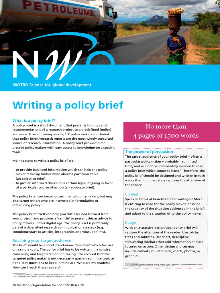 Policy Brief Writing Guide | PDF | Policy | Question