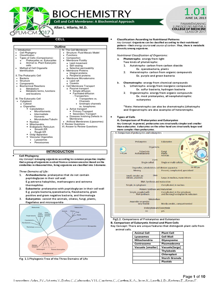 Biochemistry 1.01 PDF | PDF | Cell Membrane | Lipid Bilayer