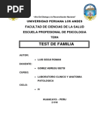 MANUAL DE TEST DE LA FAMILIA KINEtica | PDF | Temor | Dibujo