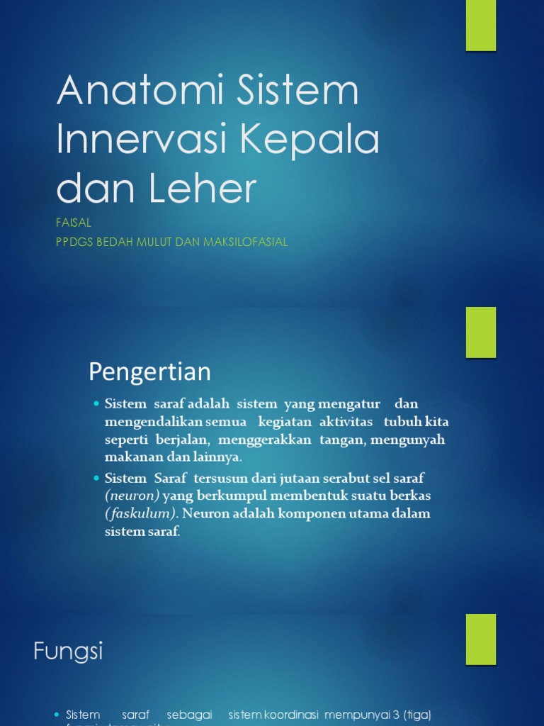 Anatomi Sistem Innervasi Kepala Dan Leher | PDF