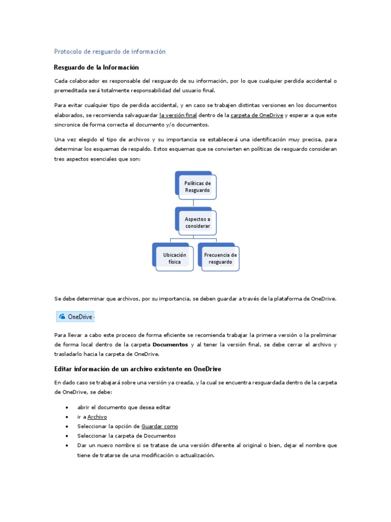 Protocolo de Resguardo de Información | PDF | Archivo de computadora | Informática