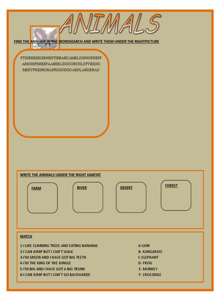Animal Habitats Graphic Organizer | PDF | Organisms | Conservation