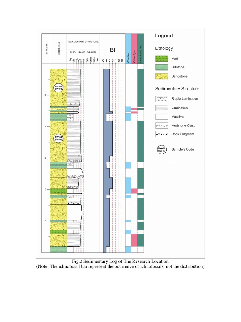 Sedimentary Log Analysis of Research Site | PDF