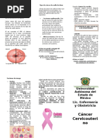 Tríptico de Cáncer de Próstata. | PDF | Cancer de prostata | Cáncer