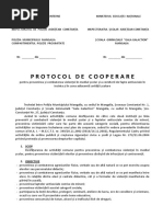 Model de Opis | PDF