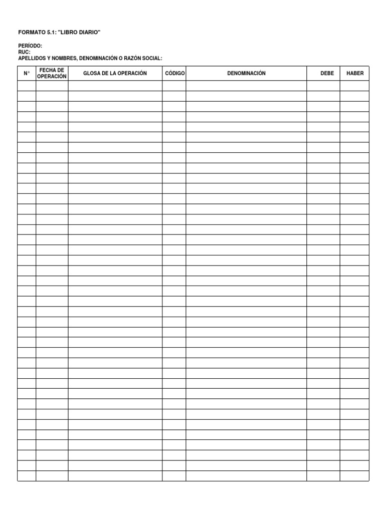 Libro Diario Formato | PDF