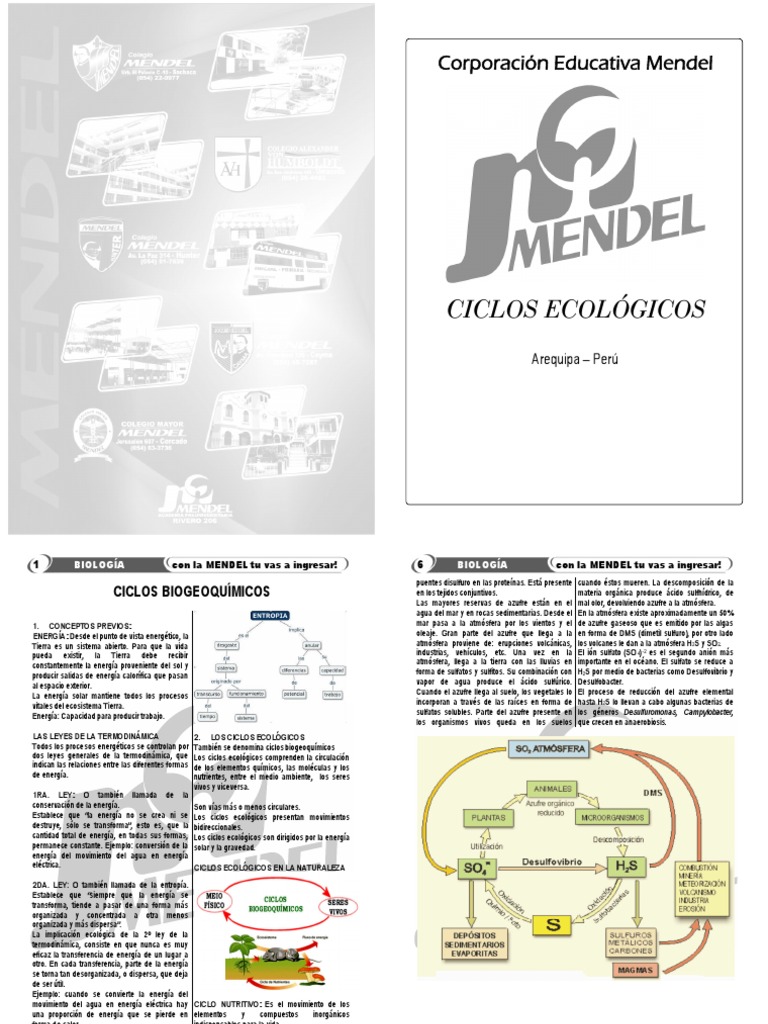 Ciclos Ecológico | PDF | Ecología | Organismos
