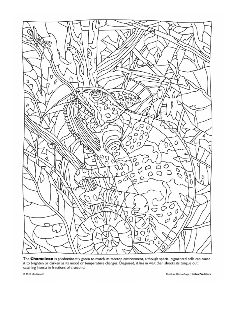 Dibujos Escondidos 2 | PDF