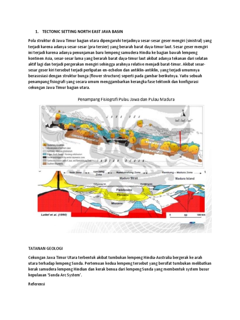 Tatanan Tektonik Cekungan Jawa Timur | PDF