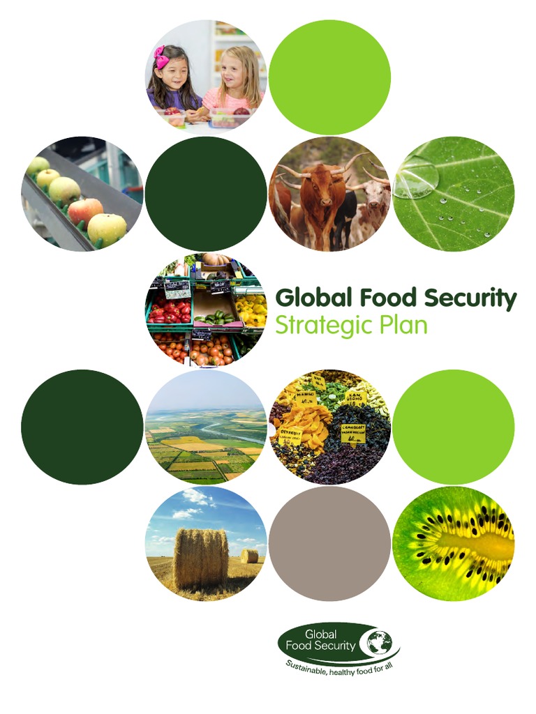 Global Food Security Strategic Plan | PDF | Food Security | Sustainability