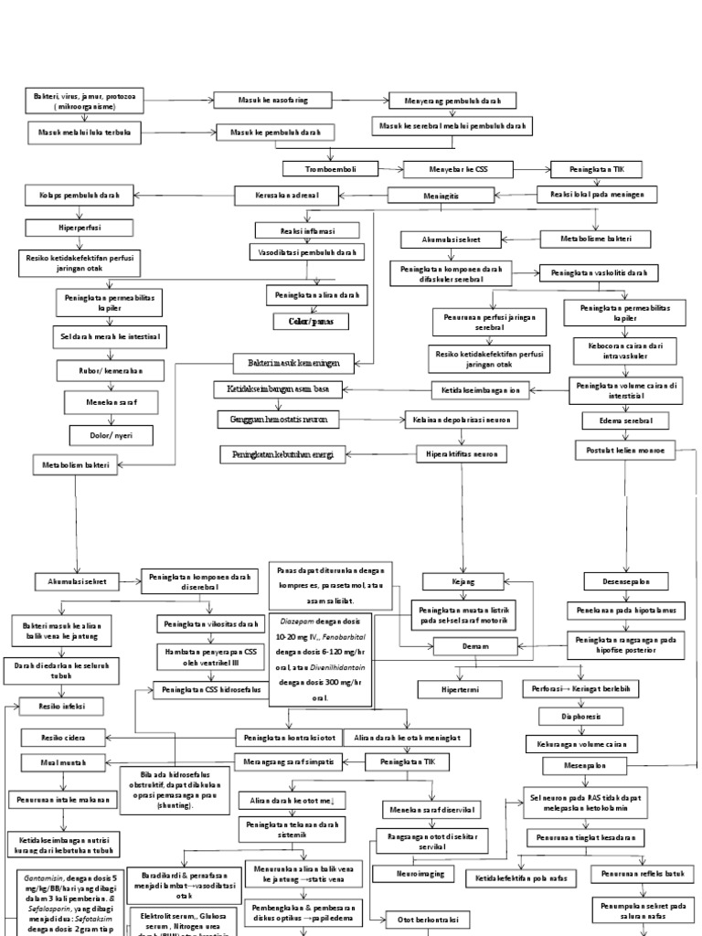 Pathway Meningitis | PDF