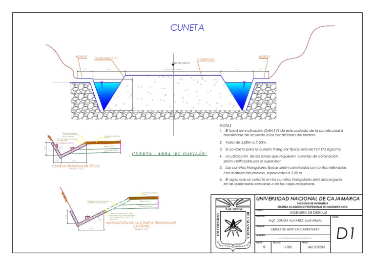 D1 Cuneta A4 | PDF | Ingeniería | Ciencia y Tecnología