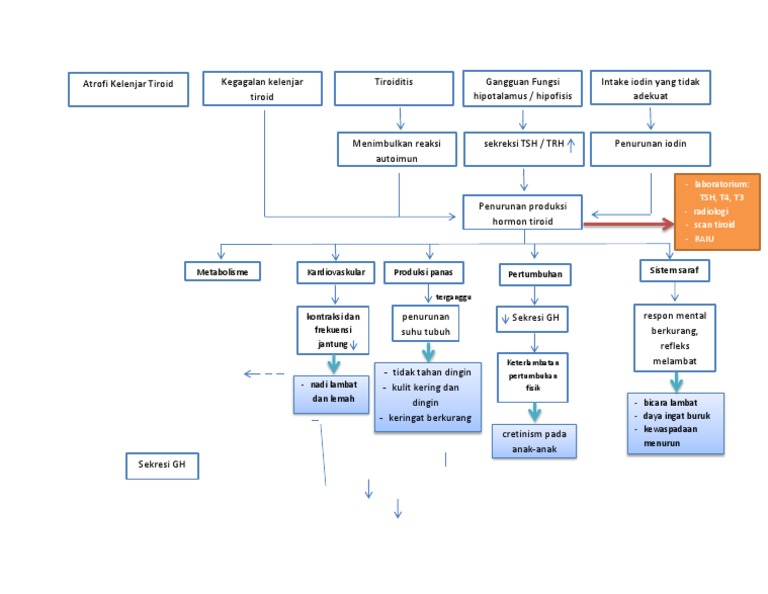 Patoflow Diagram Hipotiroid | PDF