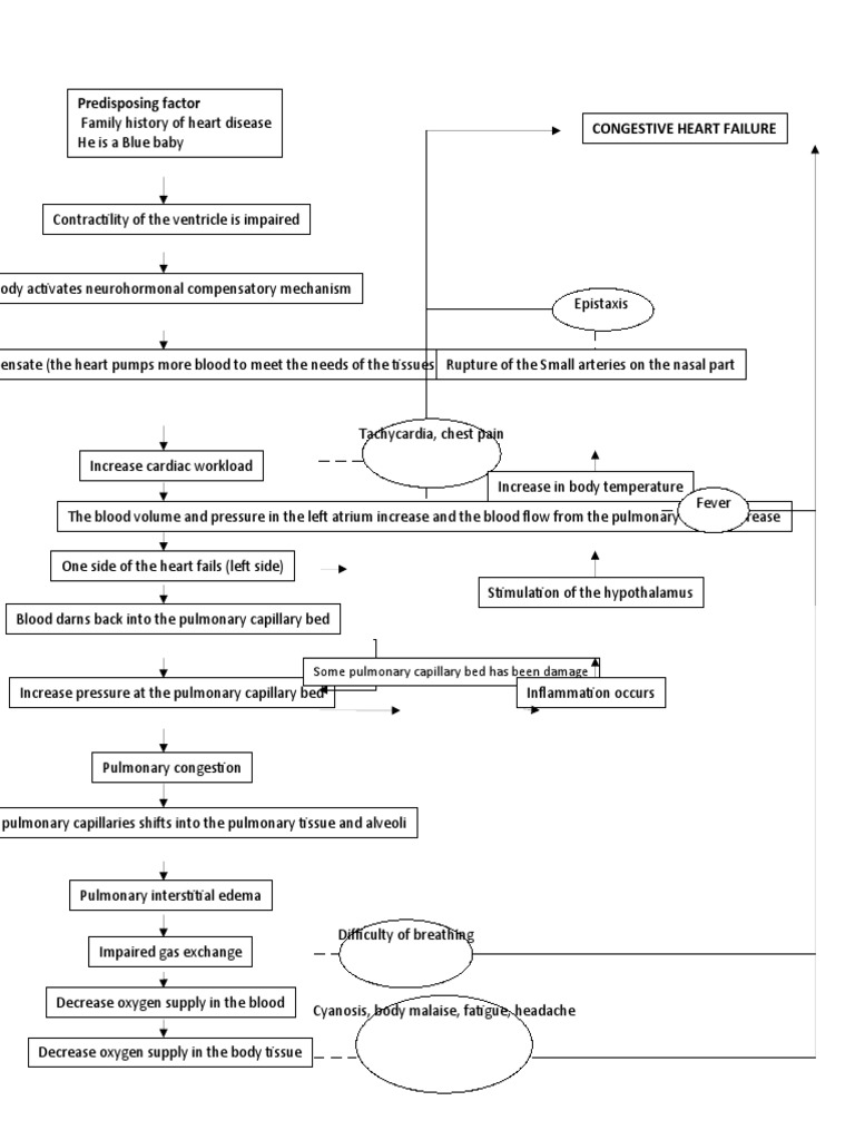Congestive Heart Failure - Pathophysiology | PDF | Cardiovascular ...