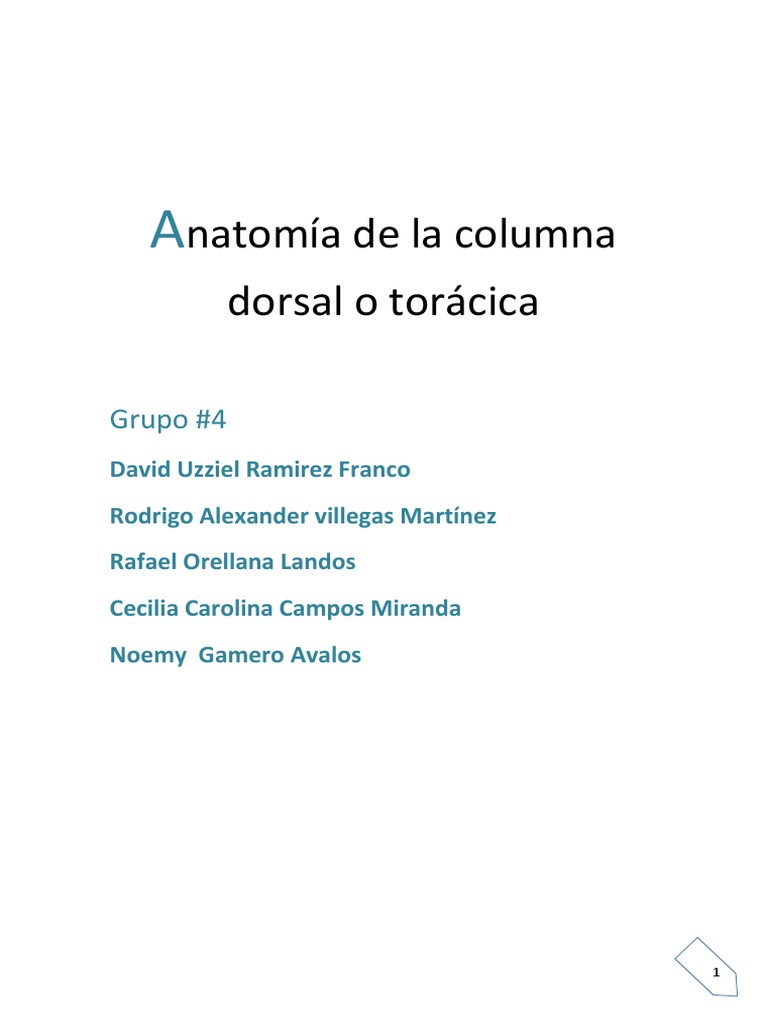 Grupo 4 D10 D11 D12 Terminado | PDF | Vértebra | Tórax
