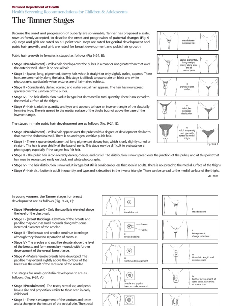 Tanner Stages | Download Free PDF | Puberty | Human Reproduction