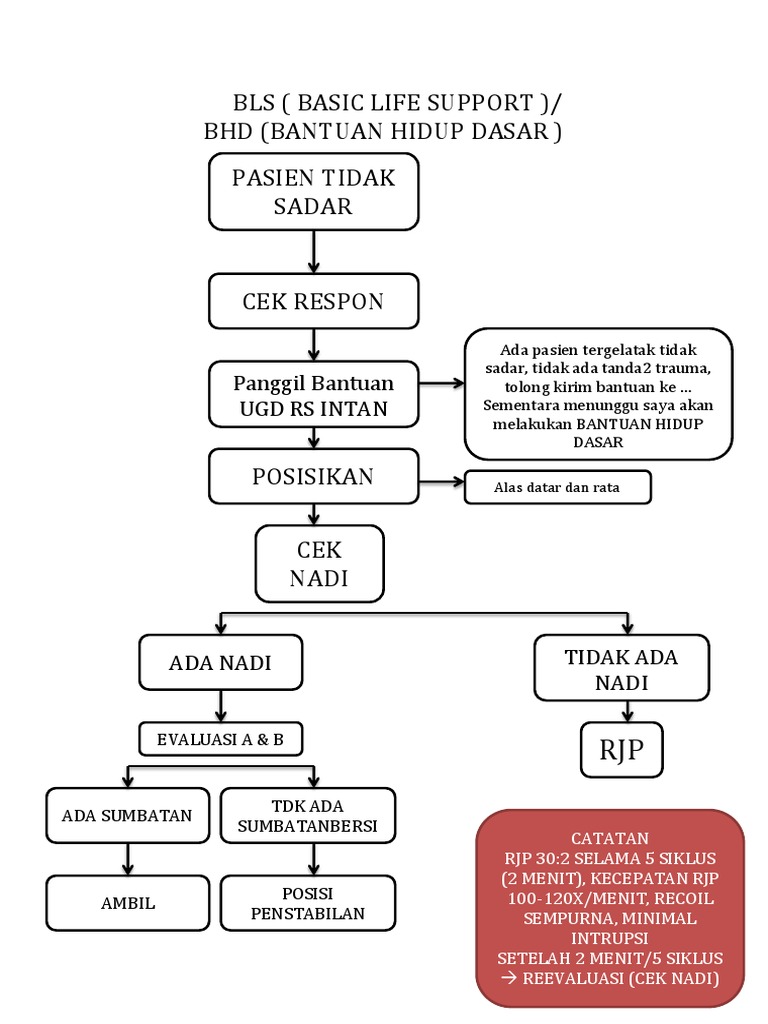 BLS Diagram | PDF