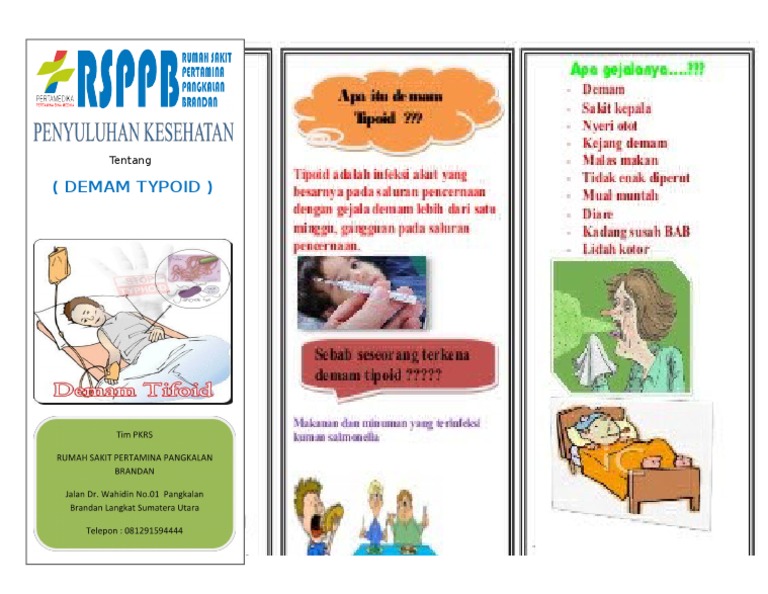 Leaflet Demam Typoid | PDF