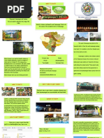 Palawan Brochure TEMPLATE | PDF | Nature