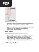Terminologi Dasar Anatomi Tubuh Manusia | PDF | Kajian Bahasa Asing
