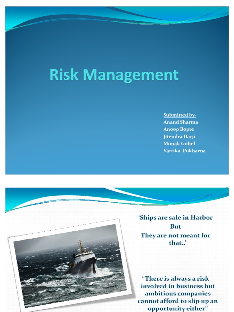 Risk Management | PDF
