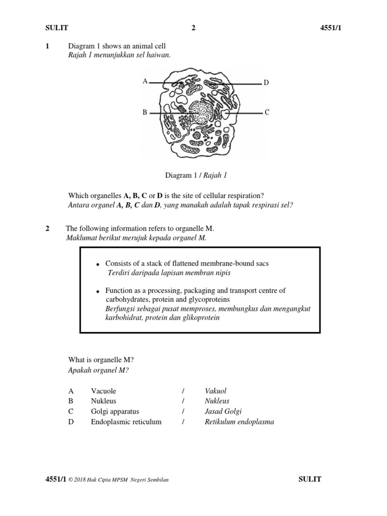 bio paper | PDF