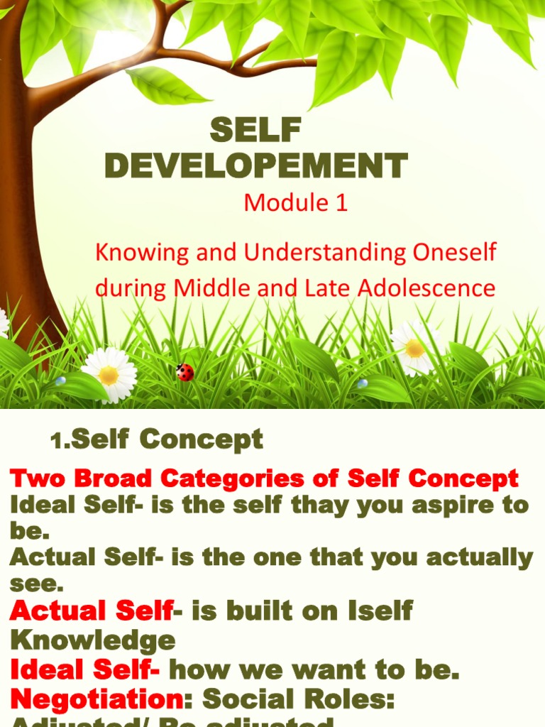 Self Development | PDF | Self | Self Concept