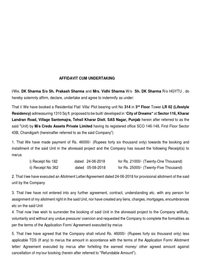 Affidavit Cum Undertaking | PDF | Indemnity | Common Law