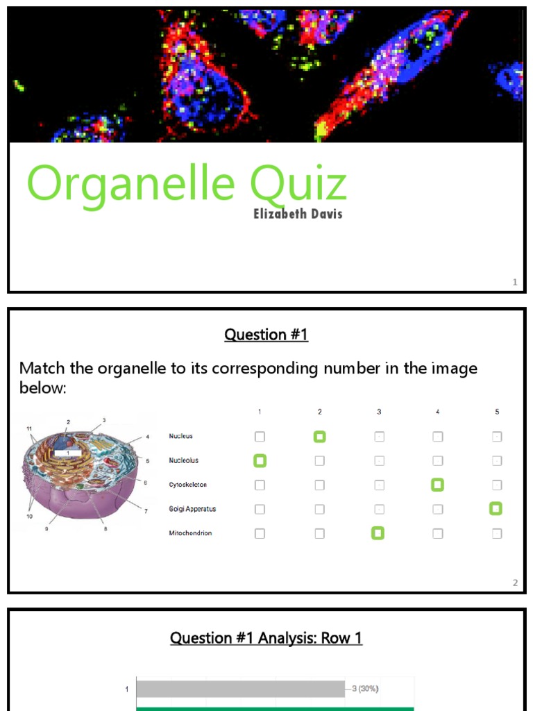 Cell Organelle Quiz | PDF | Cytoskeleton | Mitosis