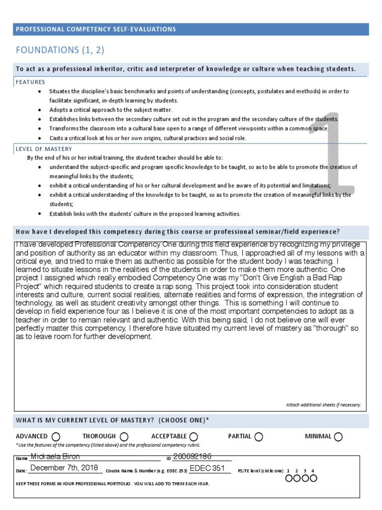PDF Self Evaluation Grid Fe3 | PDF | Educational Technology | Teachers
