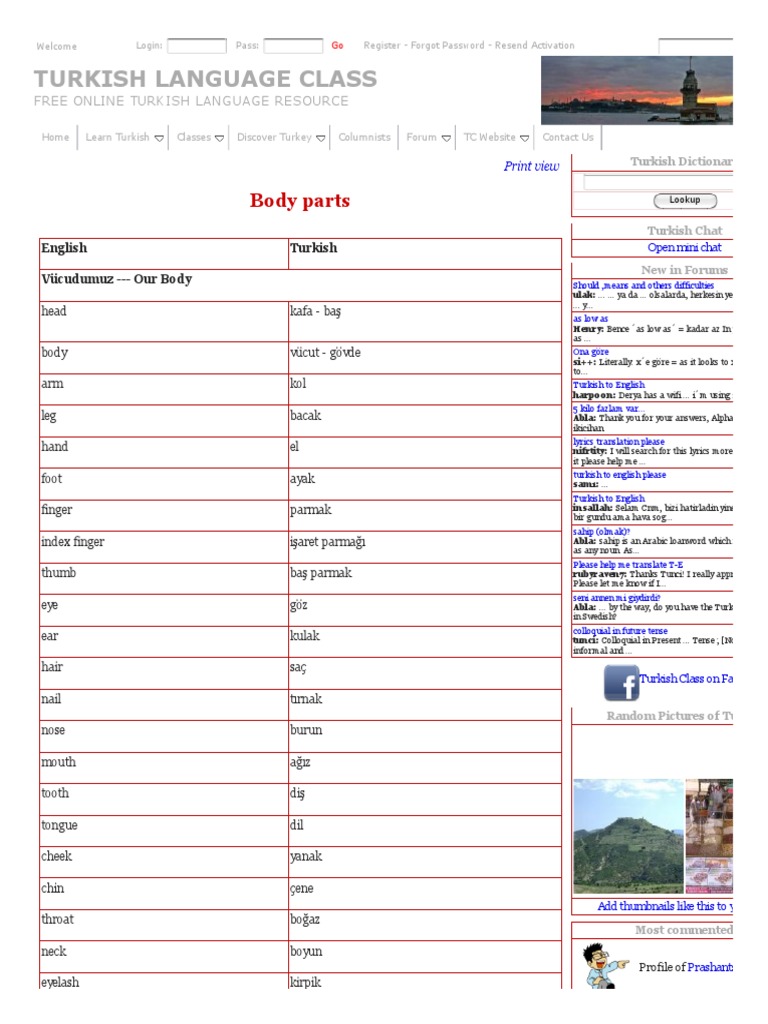 13 Body Parts - Turkish Language Lessons | Download Free PDF ...
