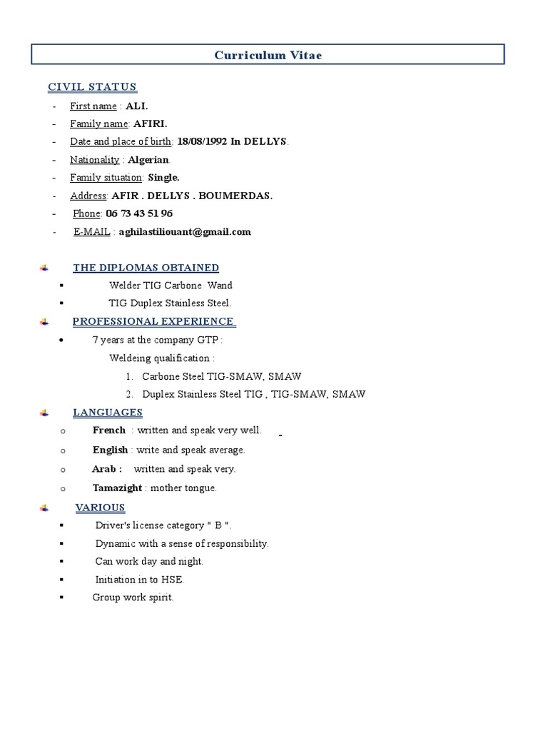 Curriculum Vitae: Civil Status | PDF | Steel | Languages