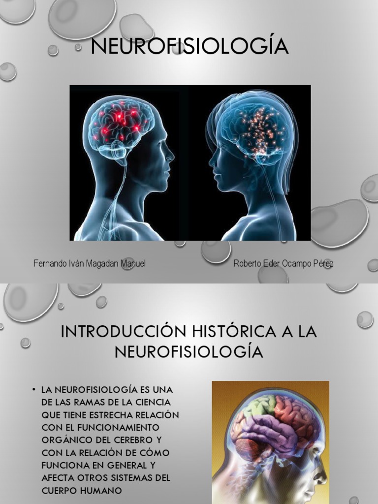 NEUROFISIOLOGIA | PDF | Neurofisiología | Fisiología