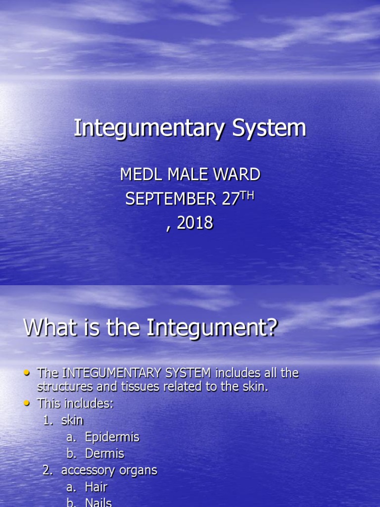 IntegumentarySystem FINAL MALE WARD | PDF | Wellness