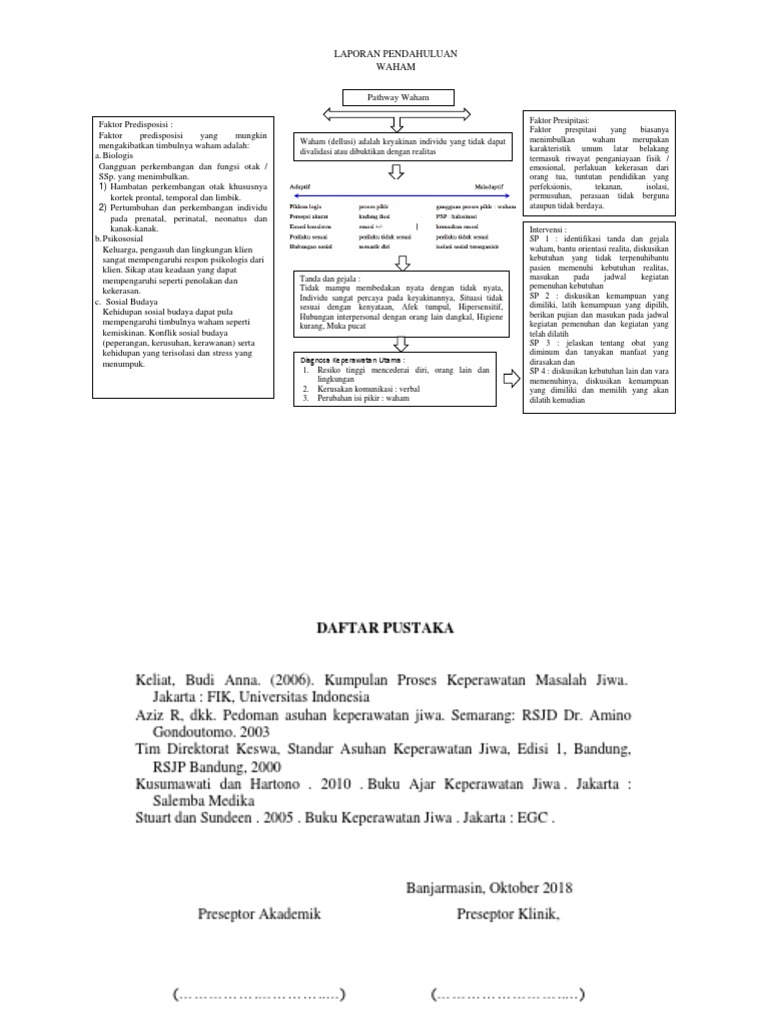 Laporan Pendahuluan Mapping Waham | PDF