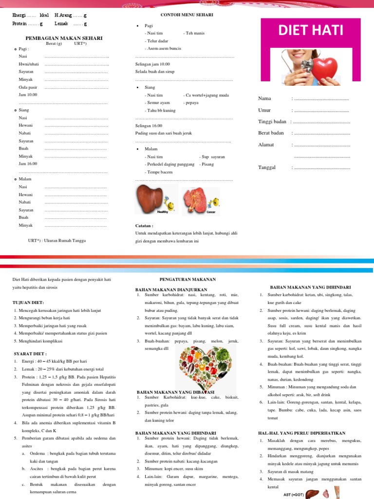 Menu Diet Sehari untuk Penderita Hati | PDF