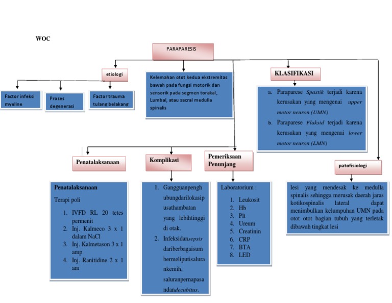 WOC B.paraparesis | PDF