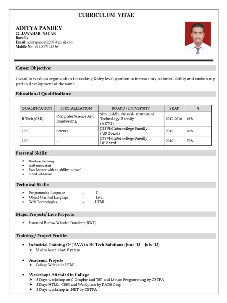 Aditya Pandey: Curriculum Vitae | Download Free PDF | Computing