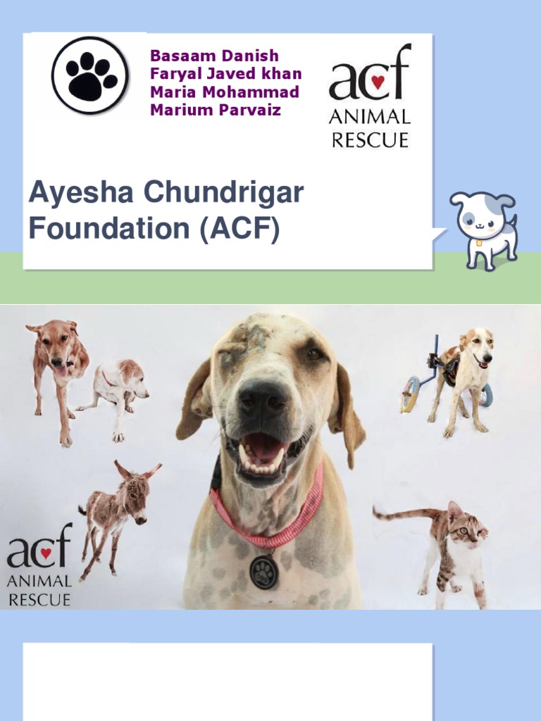 Ayesha Chundrigar Foundation (ACF) : Basaam Danish Faryal Javed Khan ...