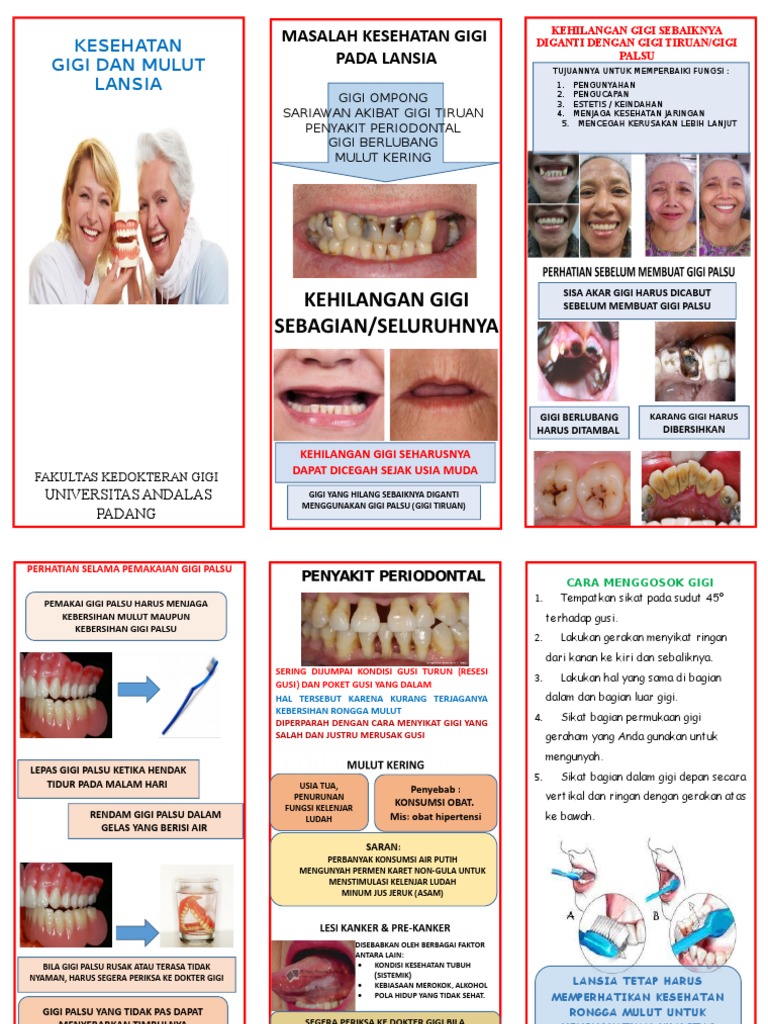 Leaflet Gigi Lansia | PDF