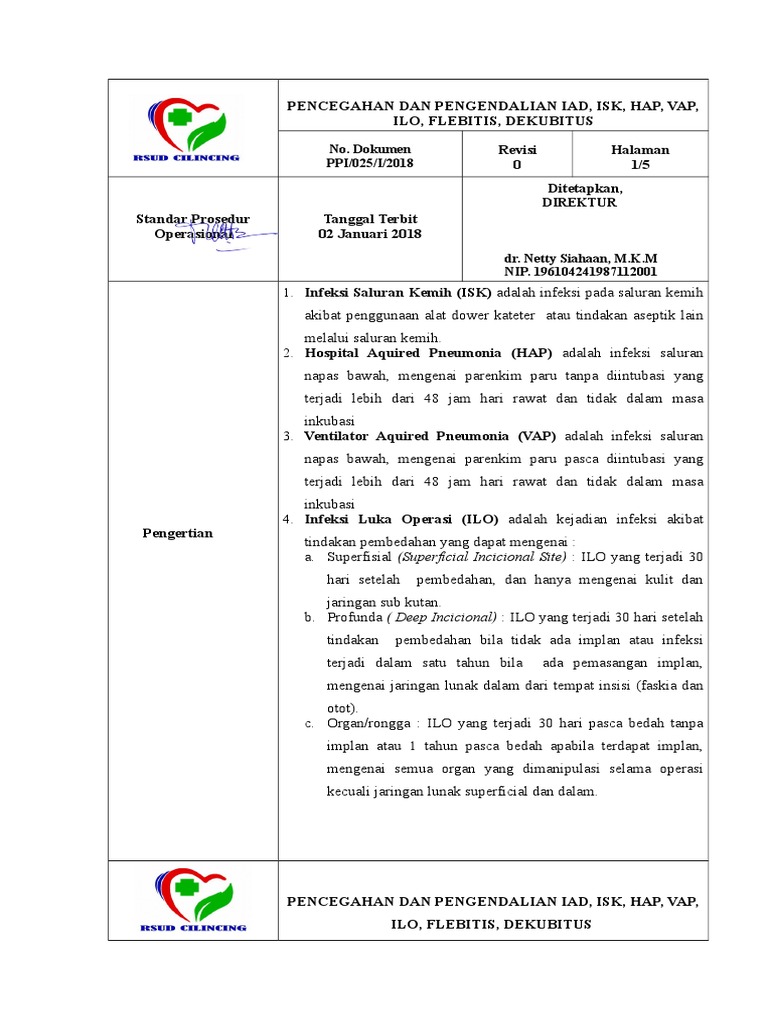 Spo Pencegahan Dan Pengendalian Iad, Isk, Hap, Vap, Ilo, Flebitis, Dekubitus | PDF