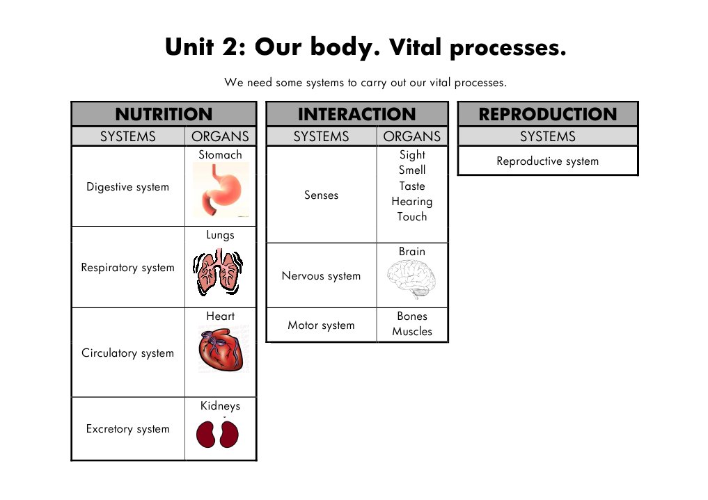 Vital Processes | PDF